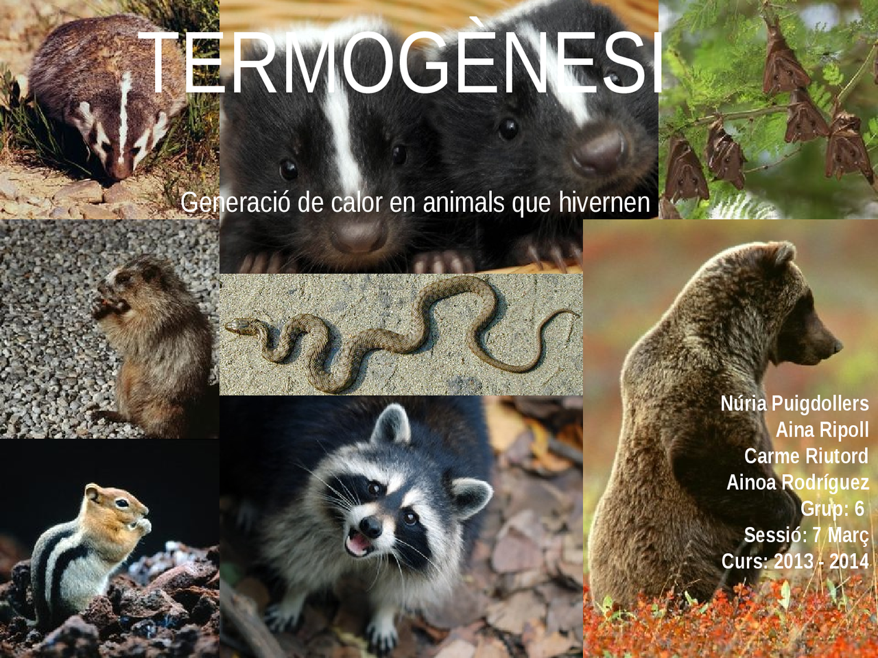 Termogenesi en animals que hivernen - Apuntes de Bioquímica - Docsity