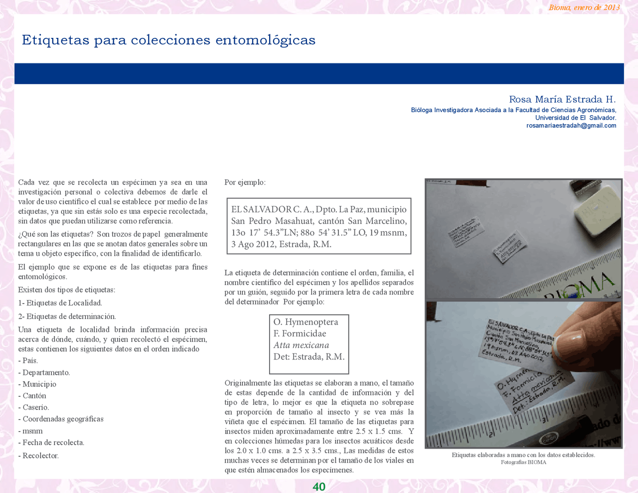 Etiquetas para colecciones entomologicas - Apuntes de Zoología - Docsity