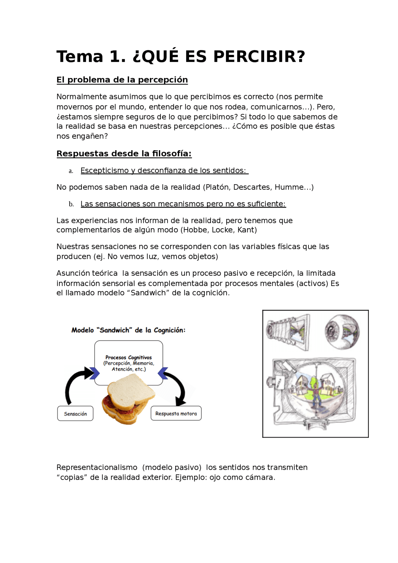 ¿Qué es percibir? - Apuntes de Psicología | Docsity