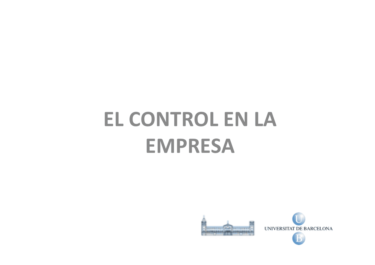 Control empresa - Apuntes de Administración de Empresas - Docsity