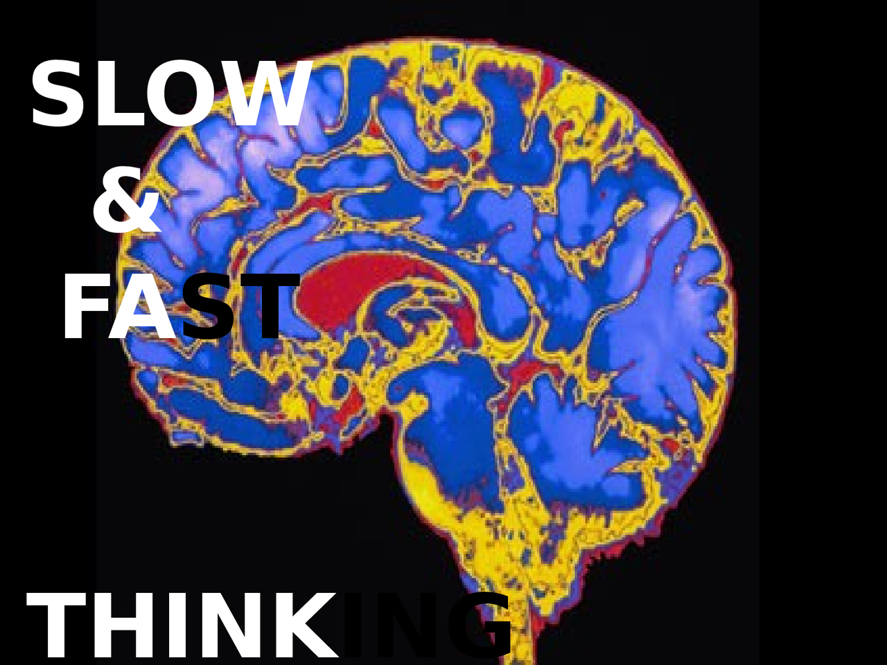 Slow and fast thinking - Apuntes de Fisiología - Docsity