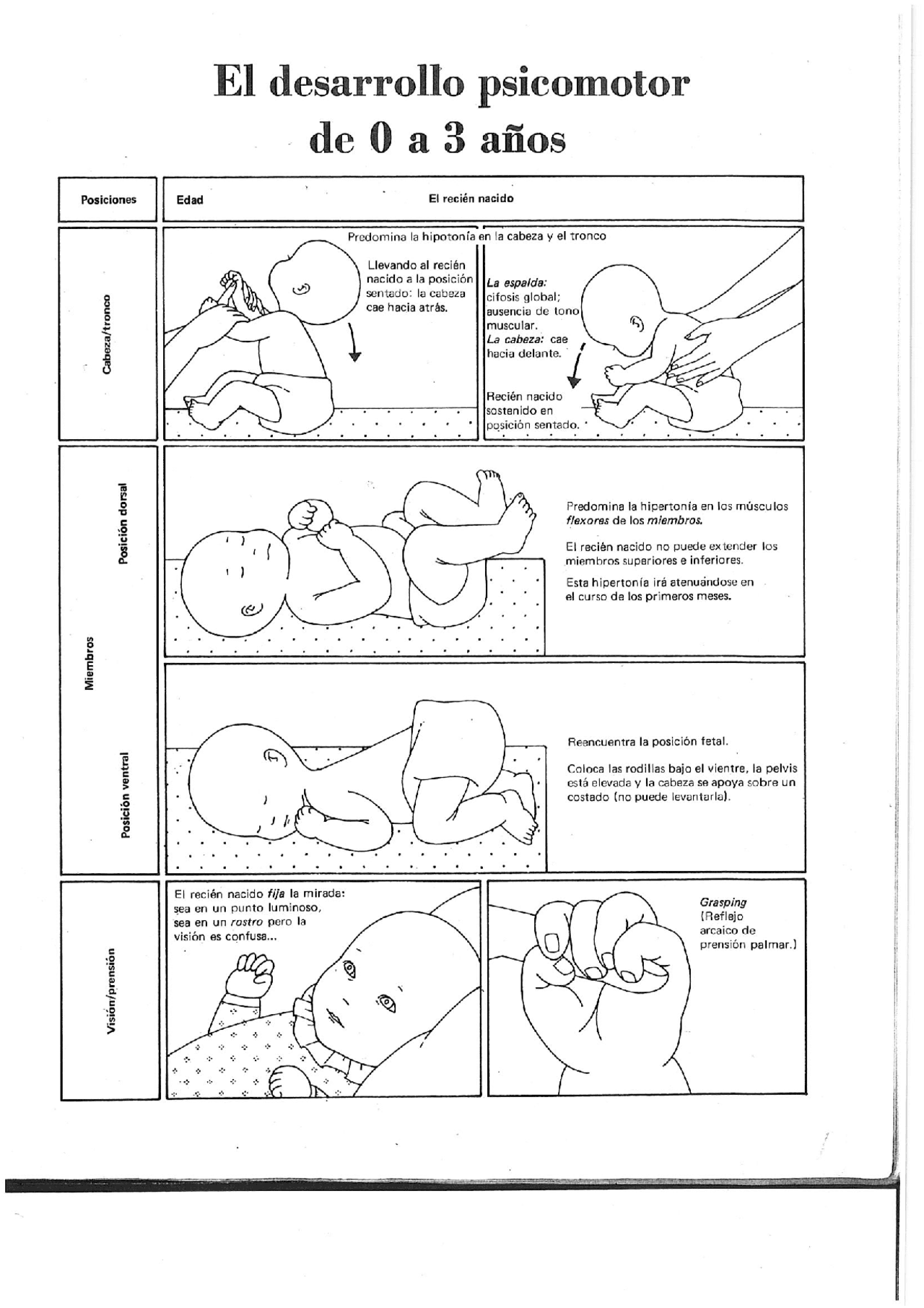 Gassier Desenvolupament Psicomotor Apuntes De Psicología Del
