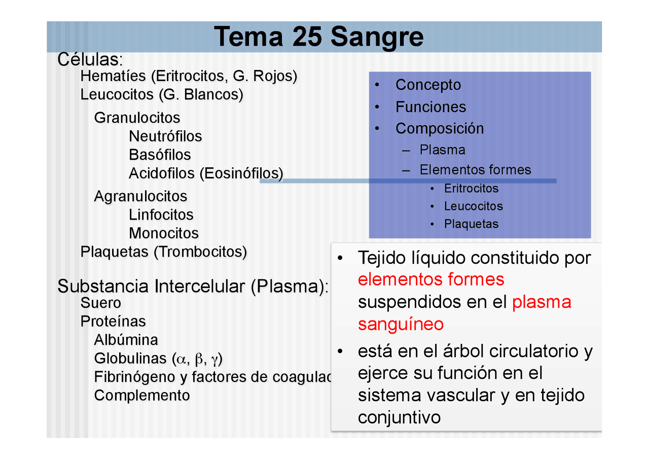 Sangre: Concepto, Funciones, Composición Plaquetas - Apuntes de ...