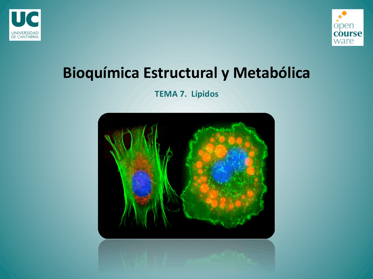 Bioquímica Estructural y Metabólica - Apuntes de Bioética - Docsity