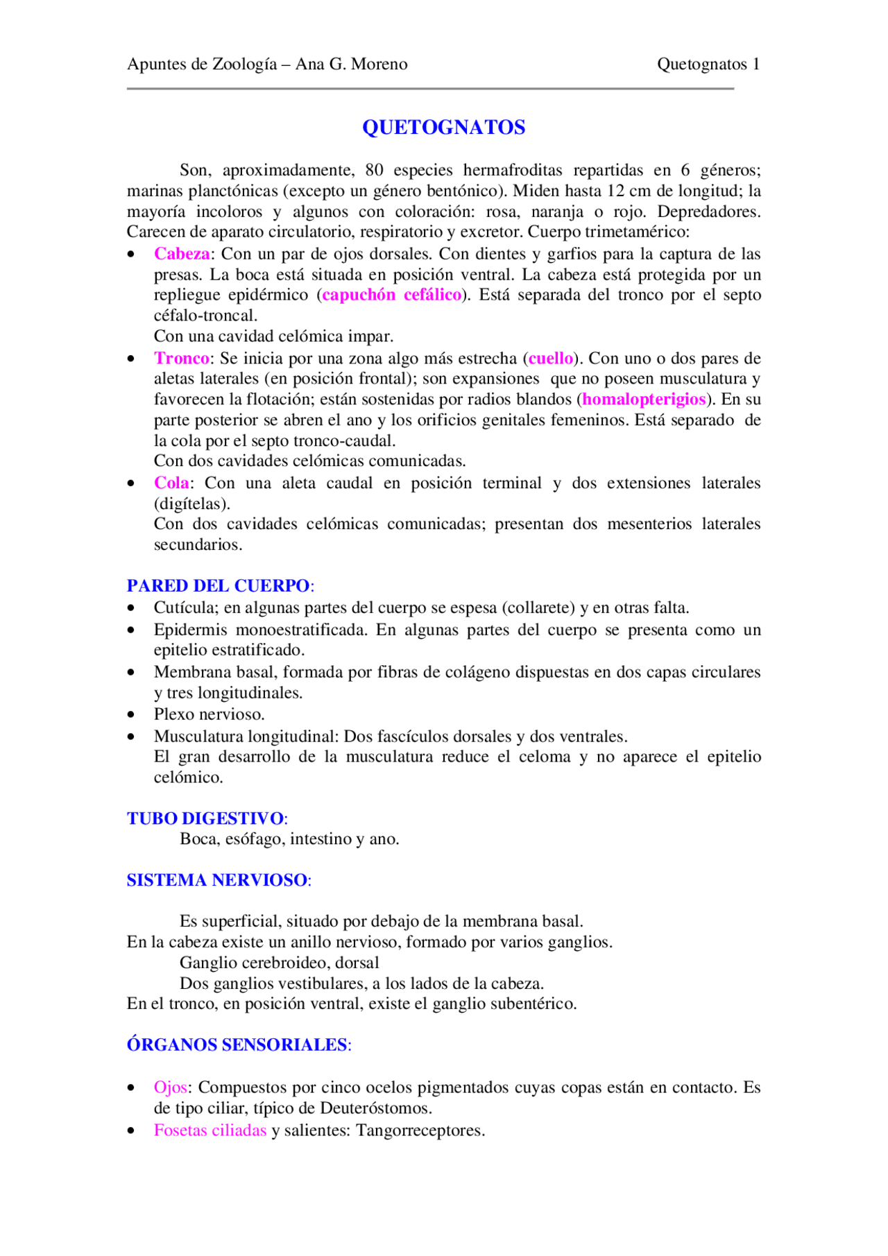 Quetognatos - Apuntes de Zoología - Docsity