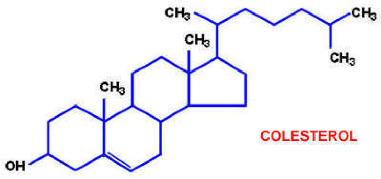 Colesterol estructura - Apuntes de Bioquímica - Docsity