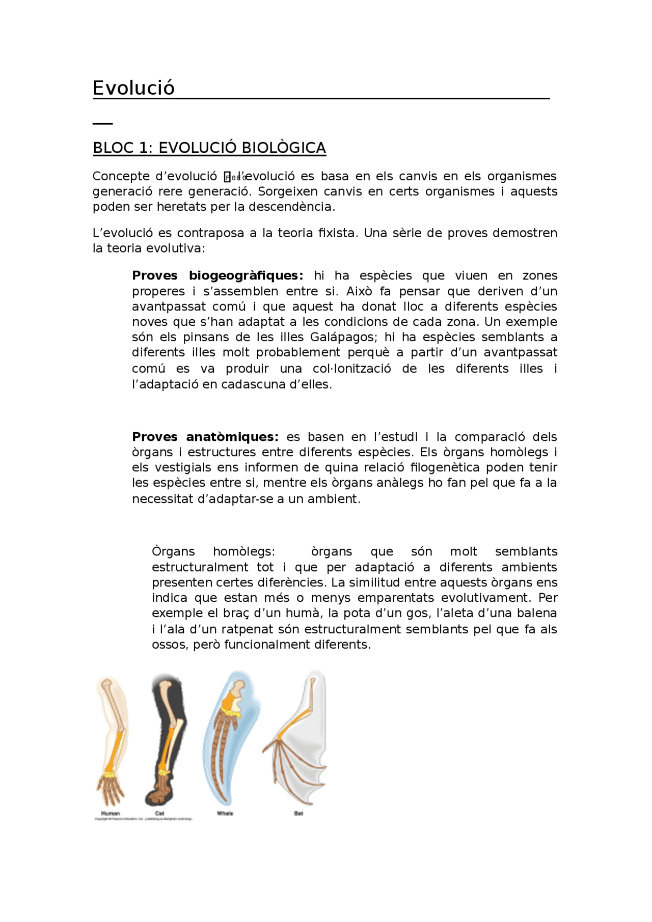 Evolució BLOC 1: EVOLUCIÓ BIOLÒGICA BLOC 2: VARIACIÓ GENÈTICA I ...