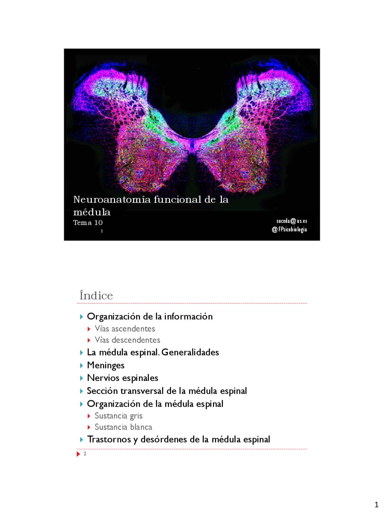 SNC SNP Sensorial Motor Motor Sensorial Nervios espinales - Apuntes de ...