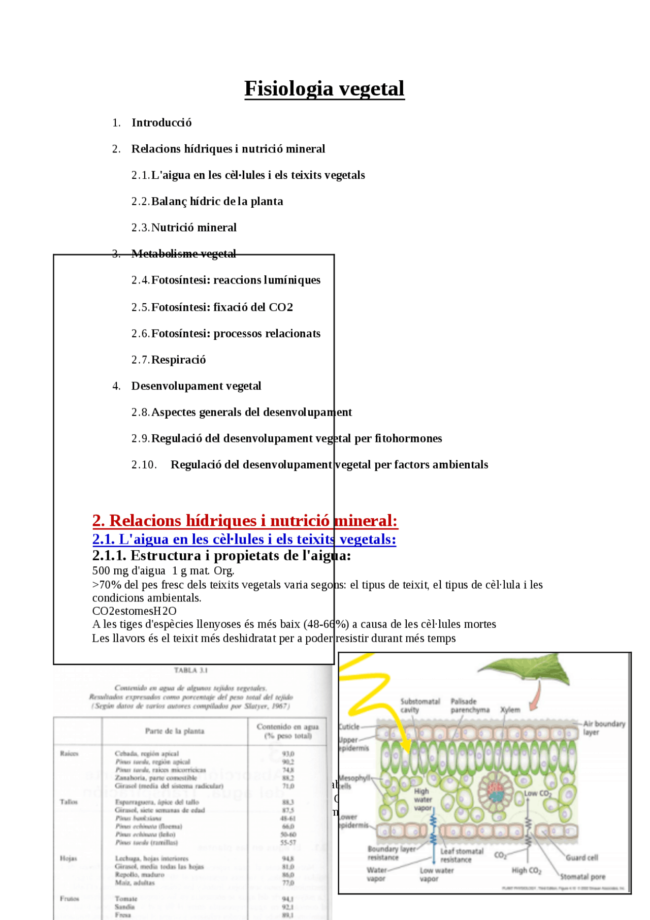 Fisiologia vegetal apunts 1r parcial - Apuntes de Fisiología de las ...