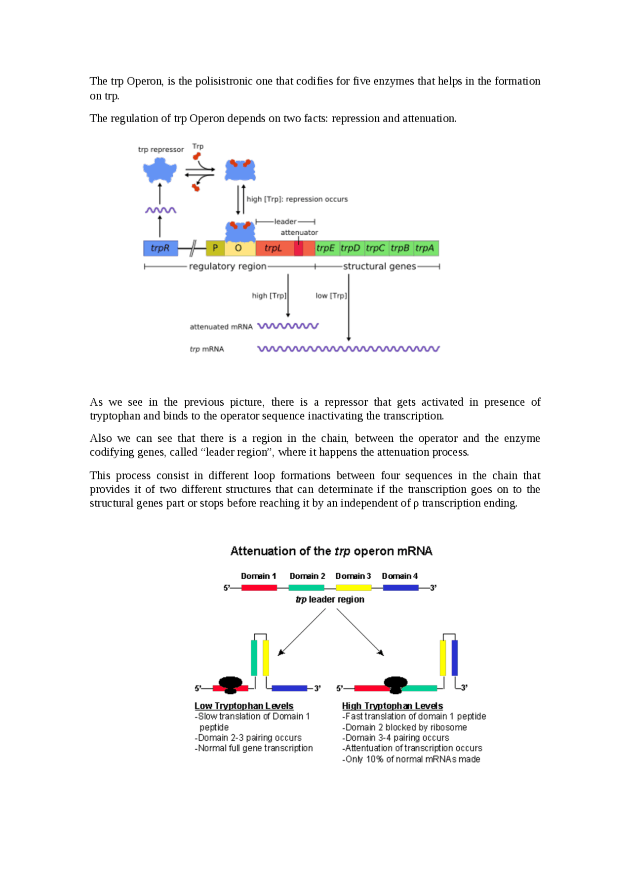 Ejercicio efb - Ejercicios de Biomedicina - Docsity