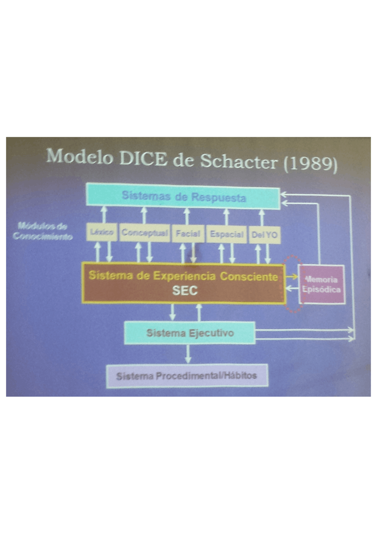 DICE model Schacter - Apuntes de Psicología | Docsity