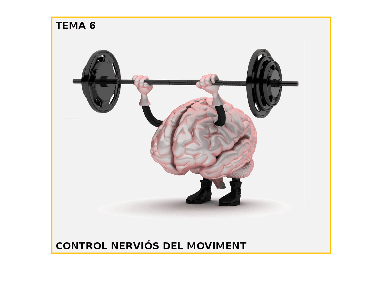 CONTROL CEREBRAL DEL MOVIMENT - Apuntes de Psicología Fisiológica - Docsity