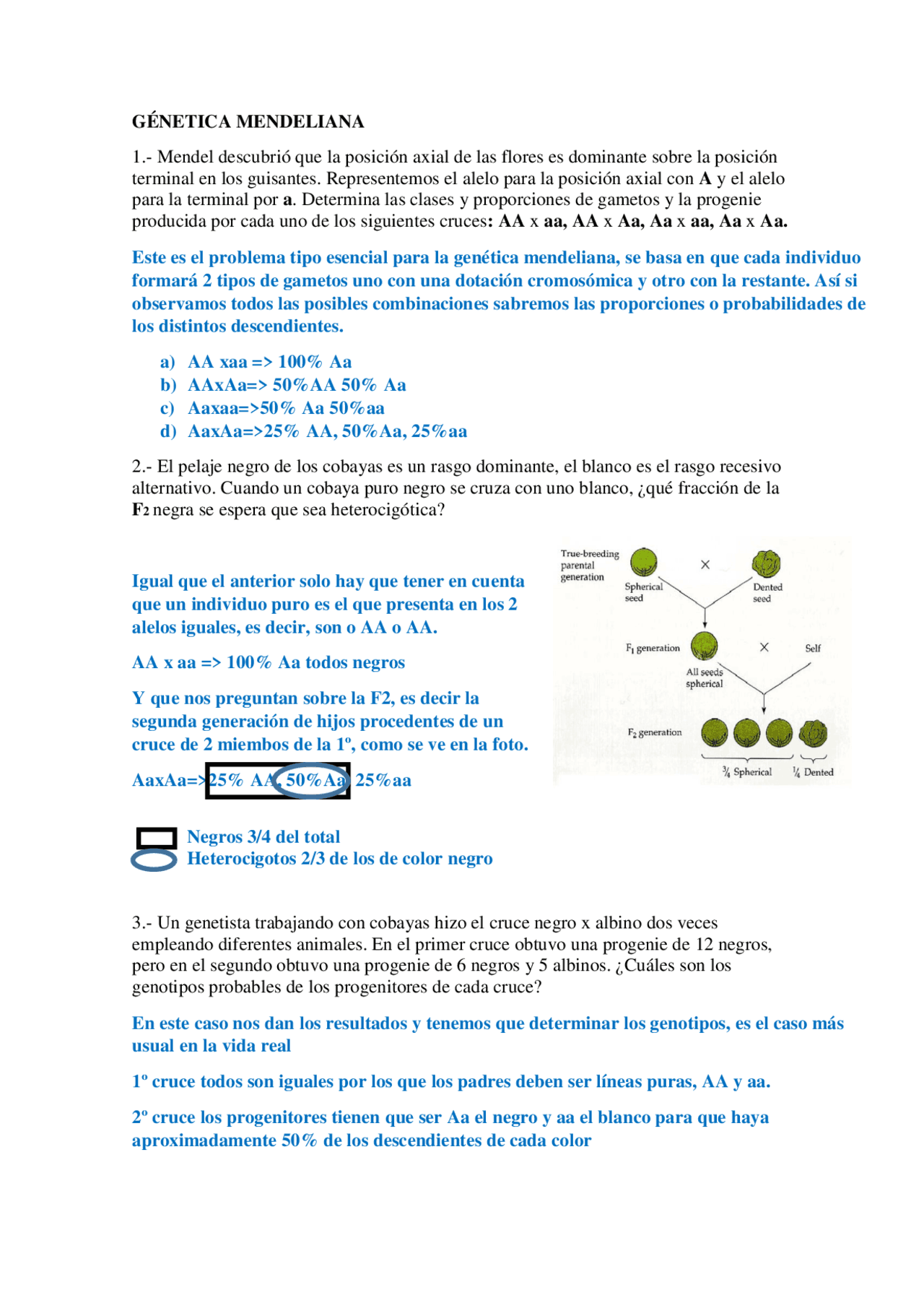 Genetica mendeliana - Apuntes de Genética | Docsity