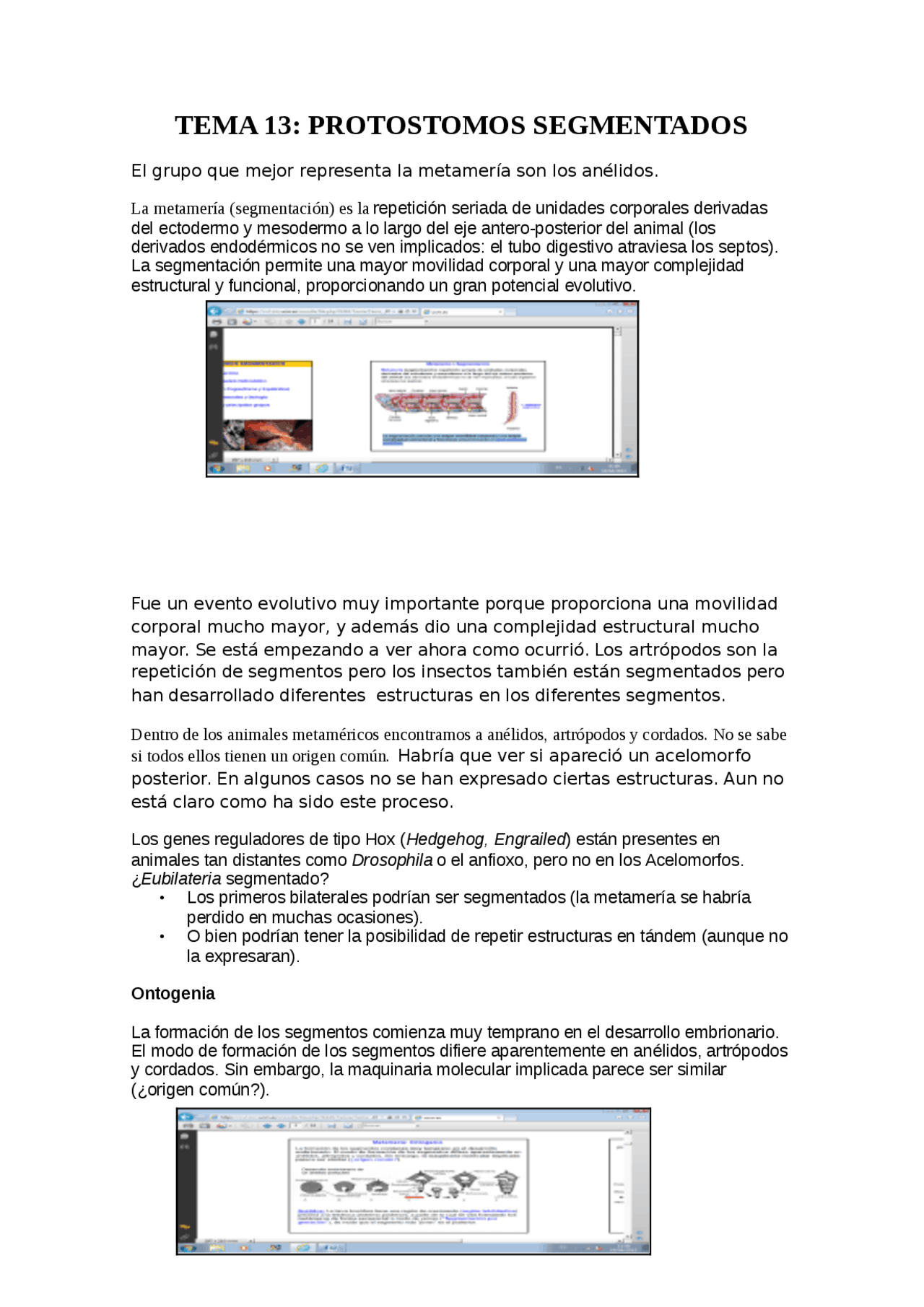 TEMA 13: PROTOSTOMOS SEGMENTADOS El grupo que mejor representa la ...
