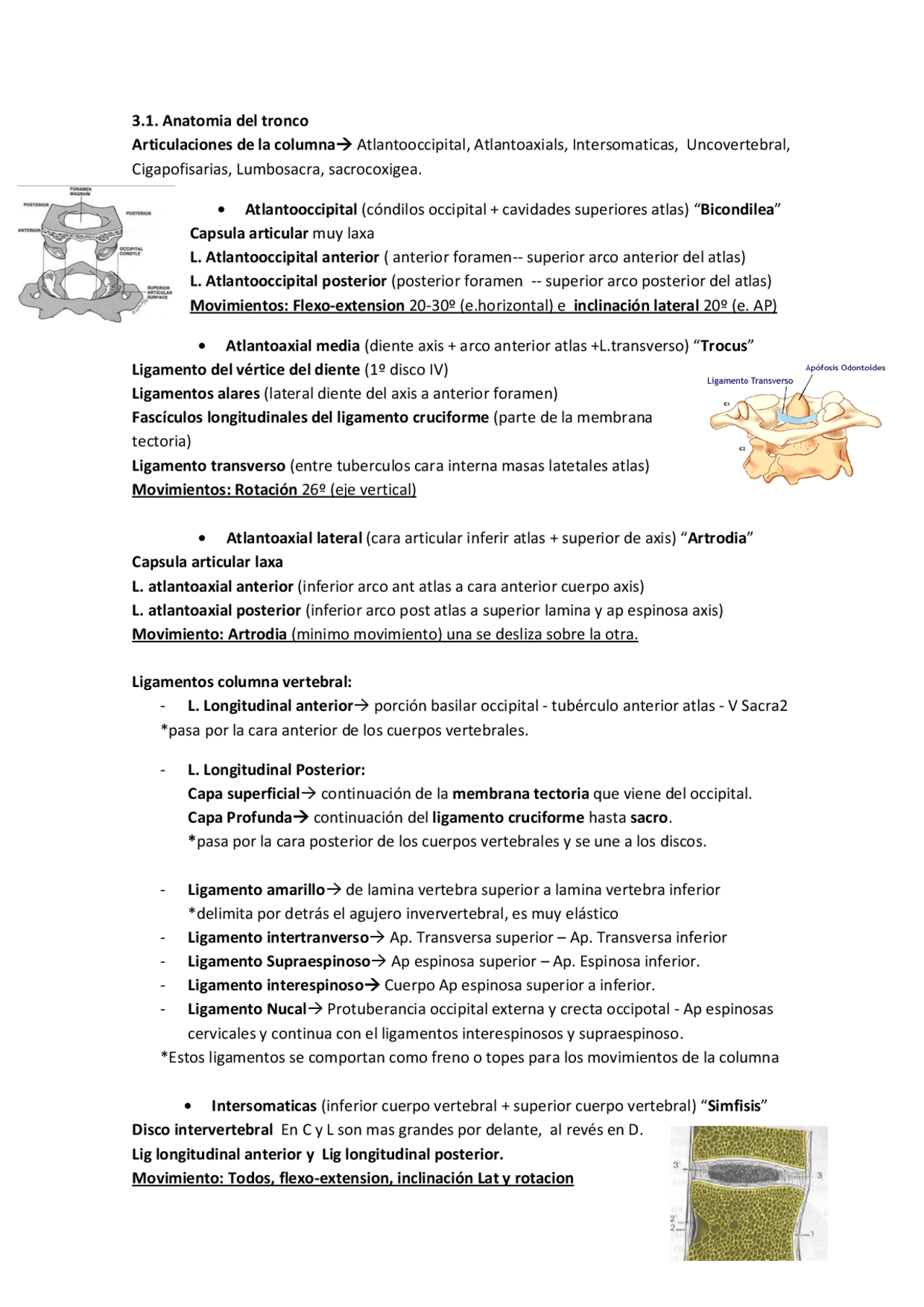 ANATOMIA - Apuntes de Anatomía - Docsity