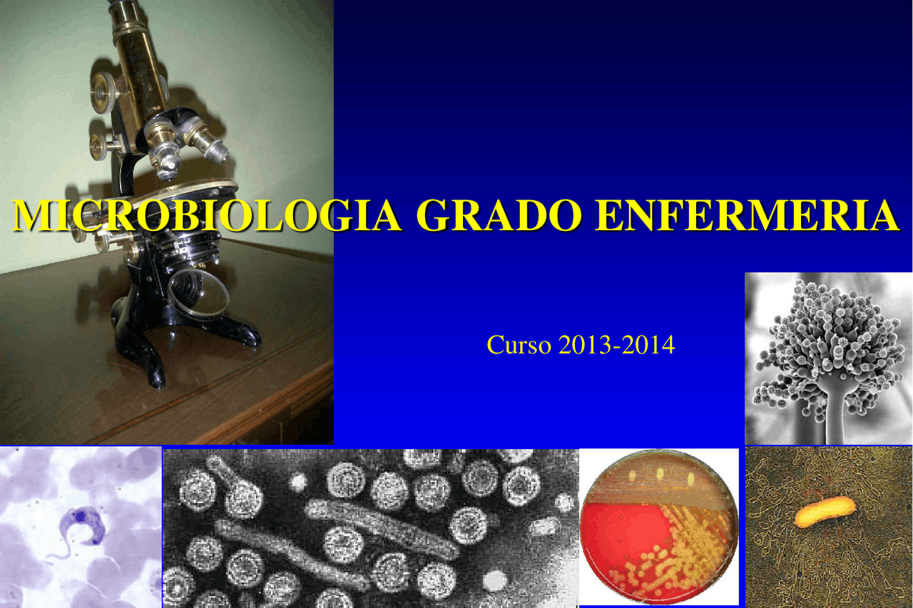 1 Filogenesis y clasificación - Apuntes de Biología - Docsity