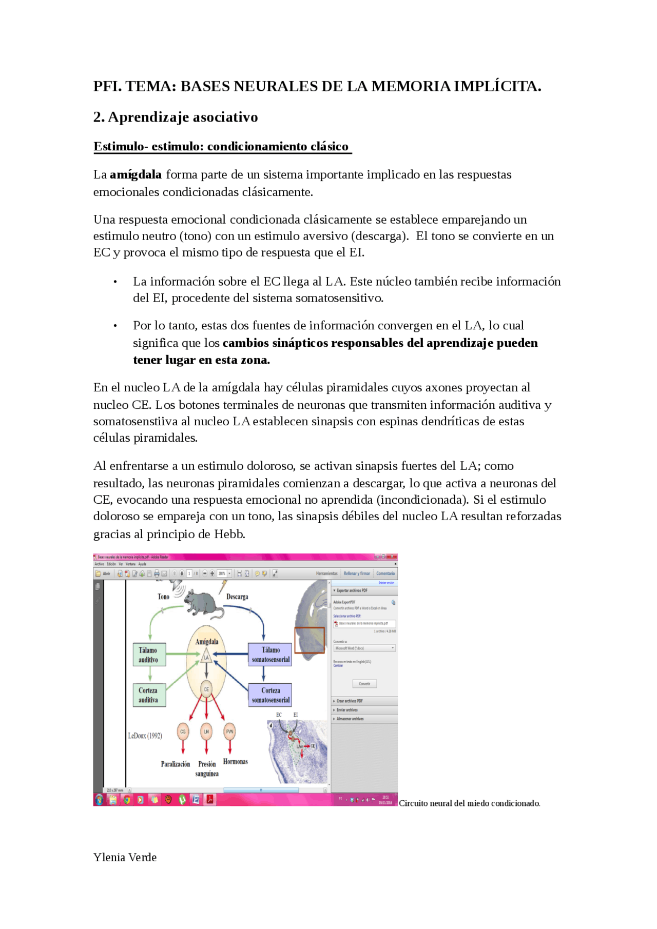 Bases neurales de la memoria implícita - Apuntes de Psicología ...