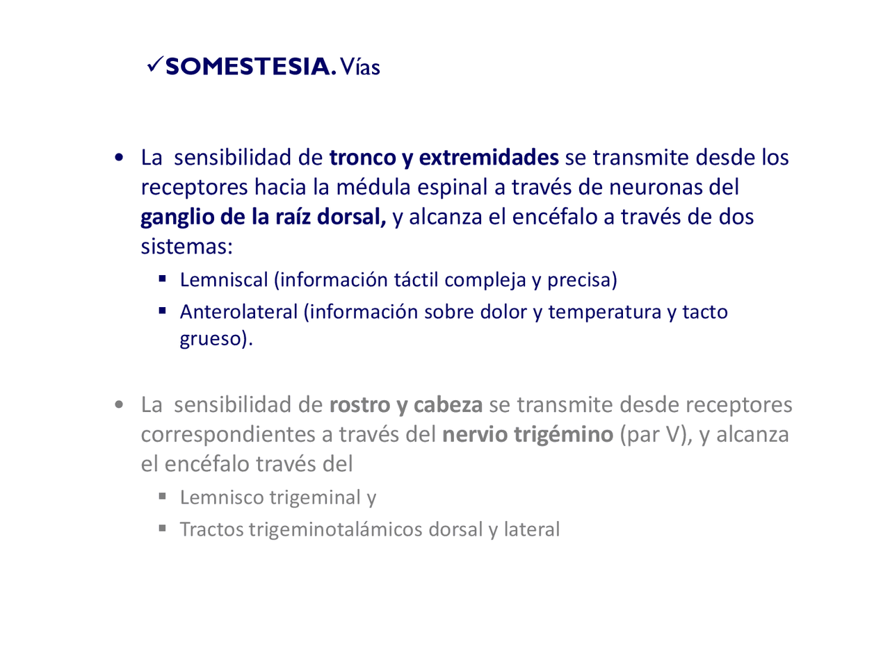 Vias somestesia - Apuntes de Psicología - Docsity