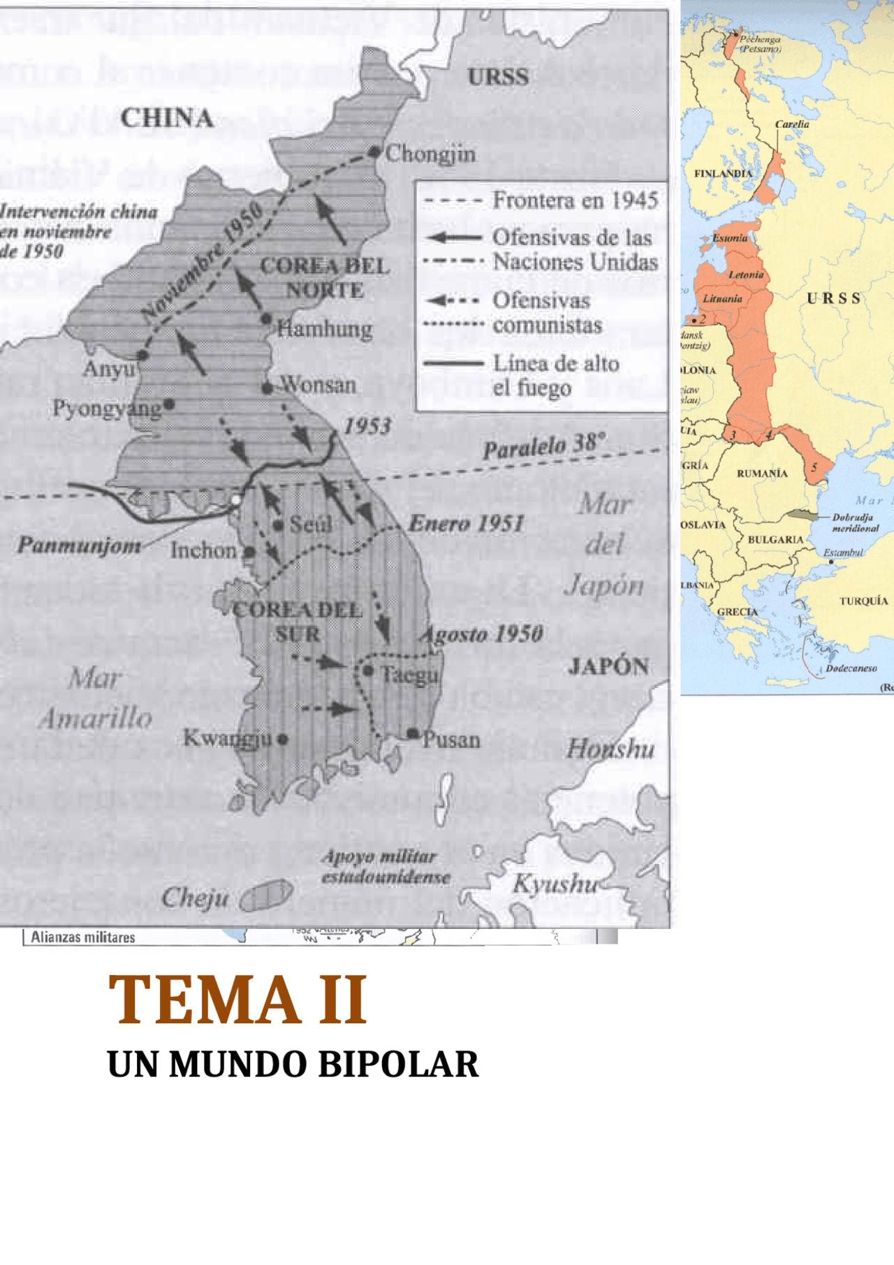 Mundo bipolar - Apuntes de Historia Contemporánea - Docsity