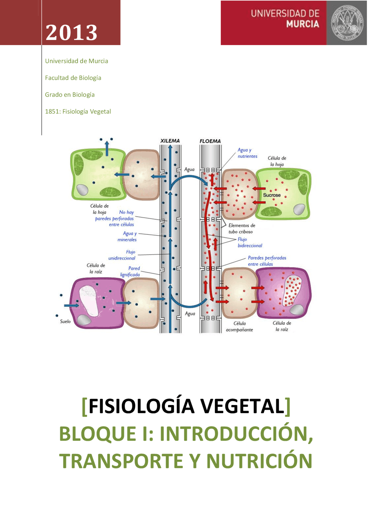 Fisiología Vegetal Bloque I - Apuntes de Fisiología de las Plantas ...