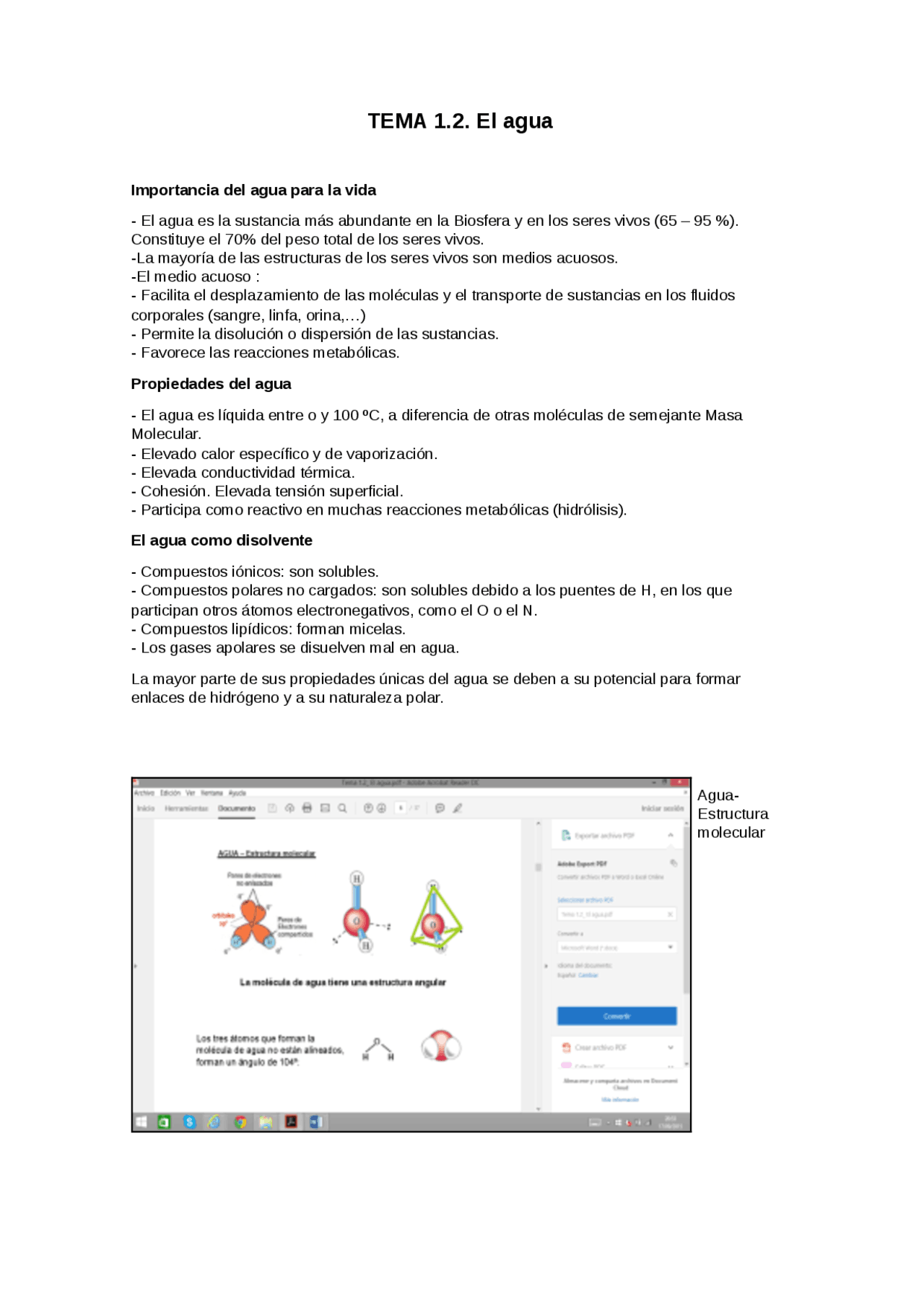 TEMA 1.2. El agua Importancia del agua para la vida - El agua es la ...