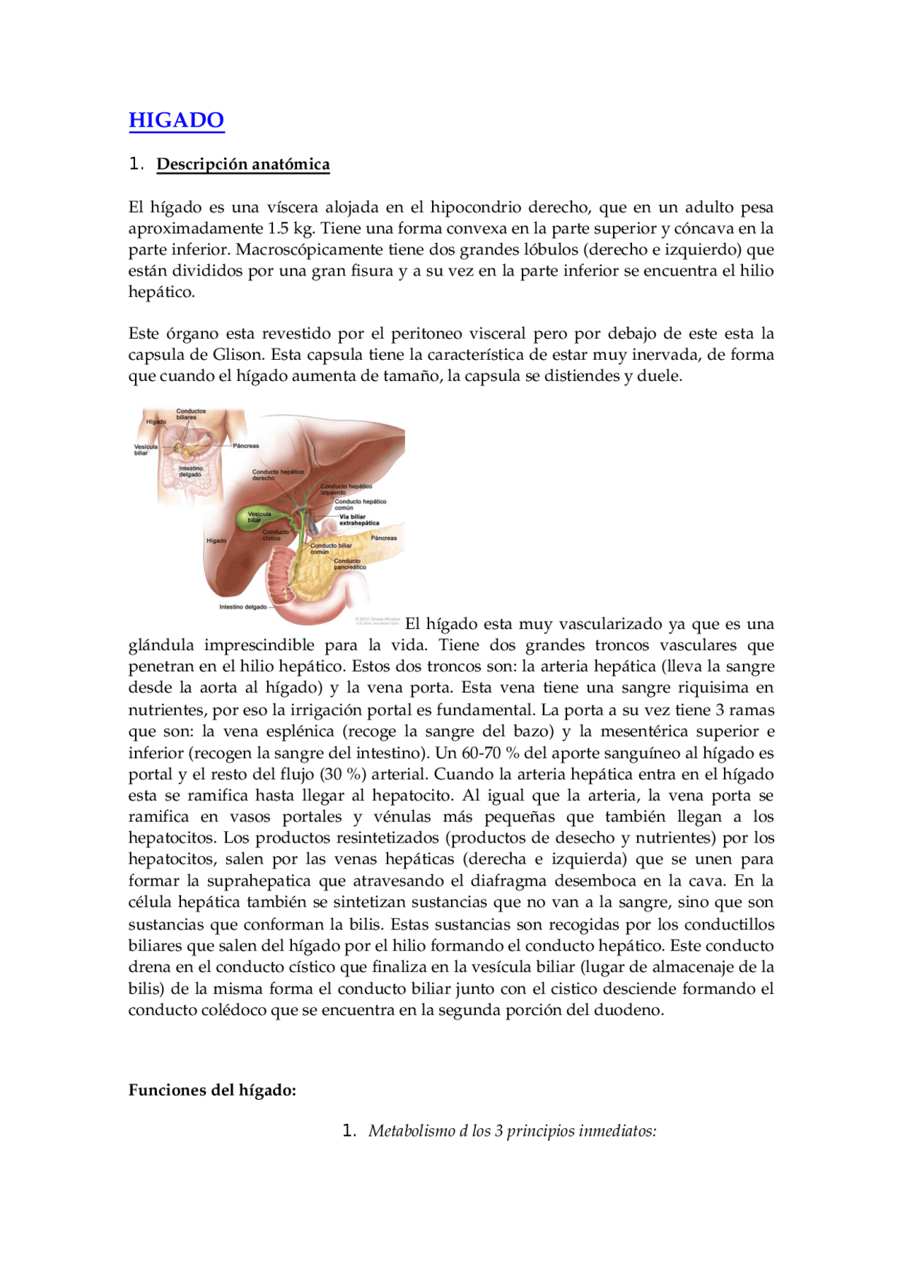 HIGADO Descripción anatómica El hígado es una víscera alojada en el ...