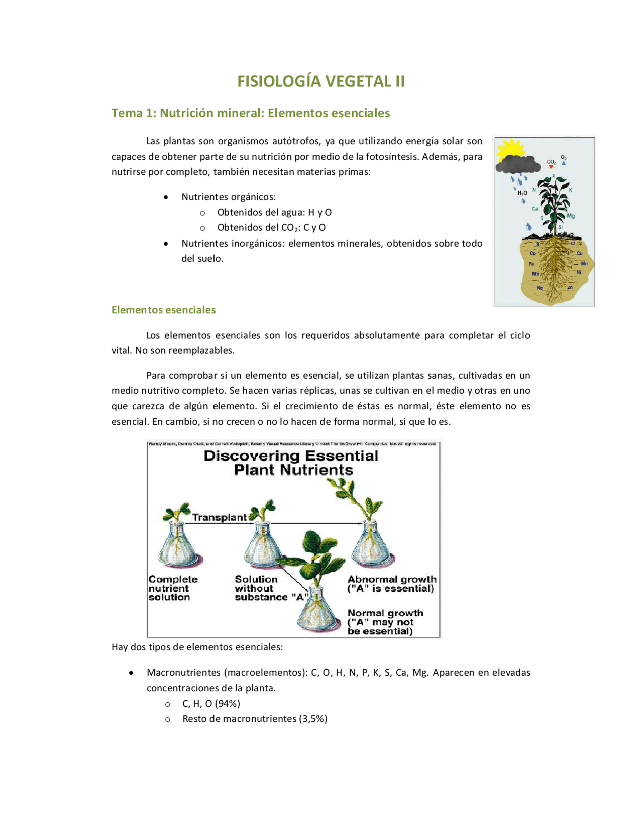 Apuntes de Fisiología Vegetal II (3º Biologia UVIGO) M. Rey - Apuntes ...