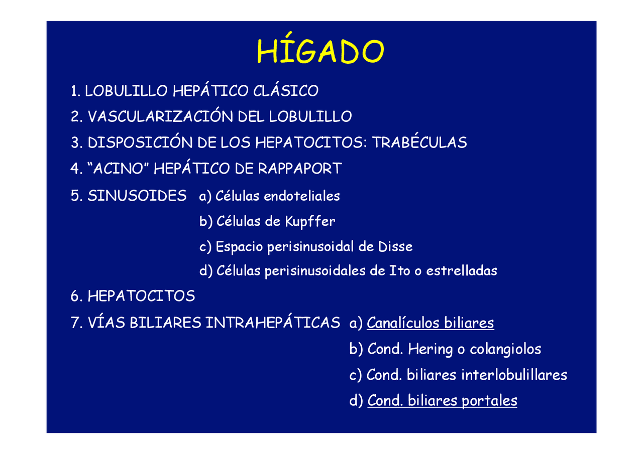 HÍGADO CÁPSULA DE GLISSON MESOTELIO - Apuntes de Histología - Docsity
