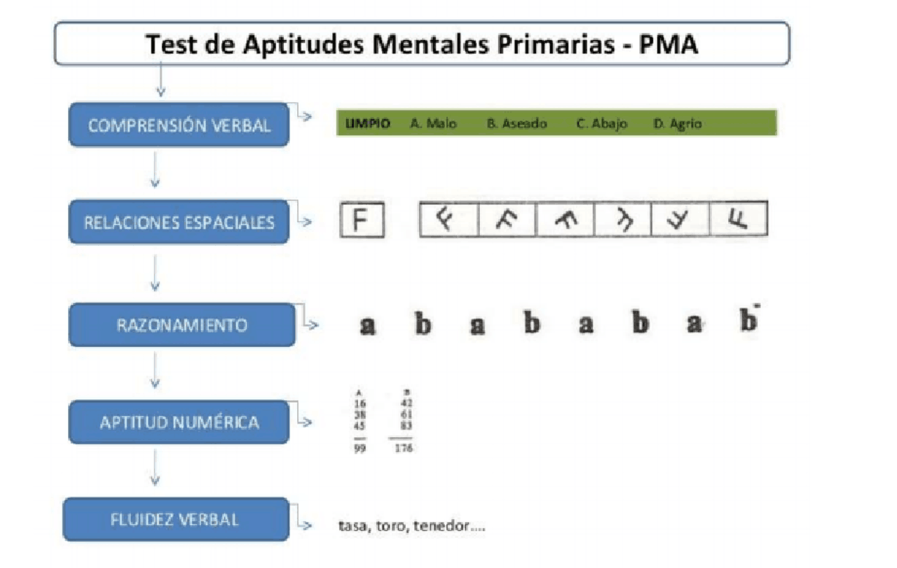 TEST PMA - Exámenes de Psicología - Docsity