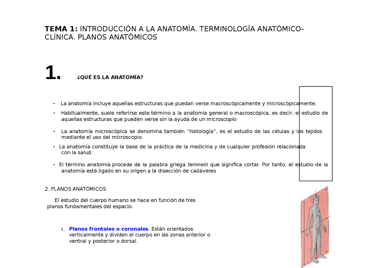 Un elemento es medial o interno cuando se sitúa cerca del plano s ...