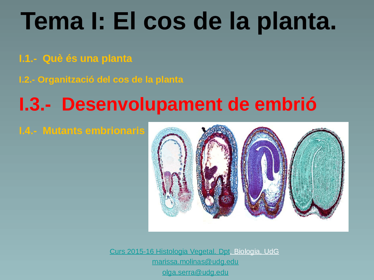Cito power 5 - Apuntes de Biología - Docsity