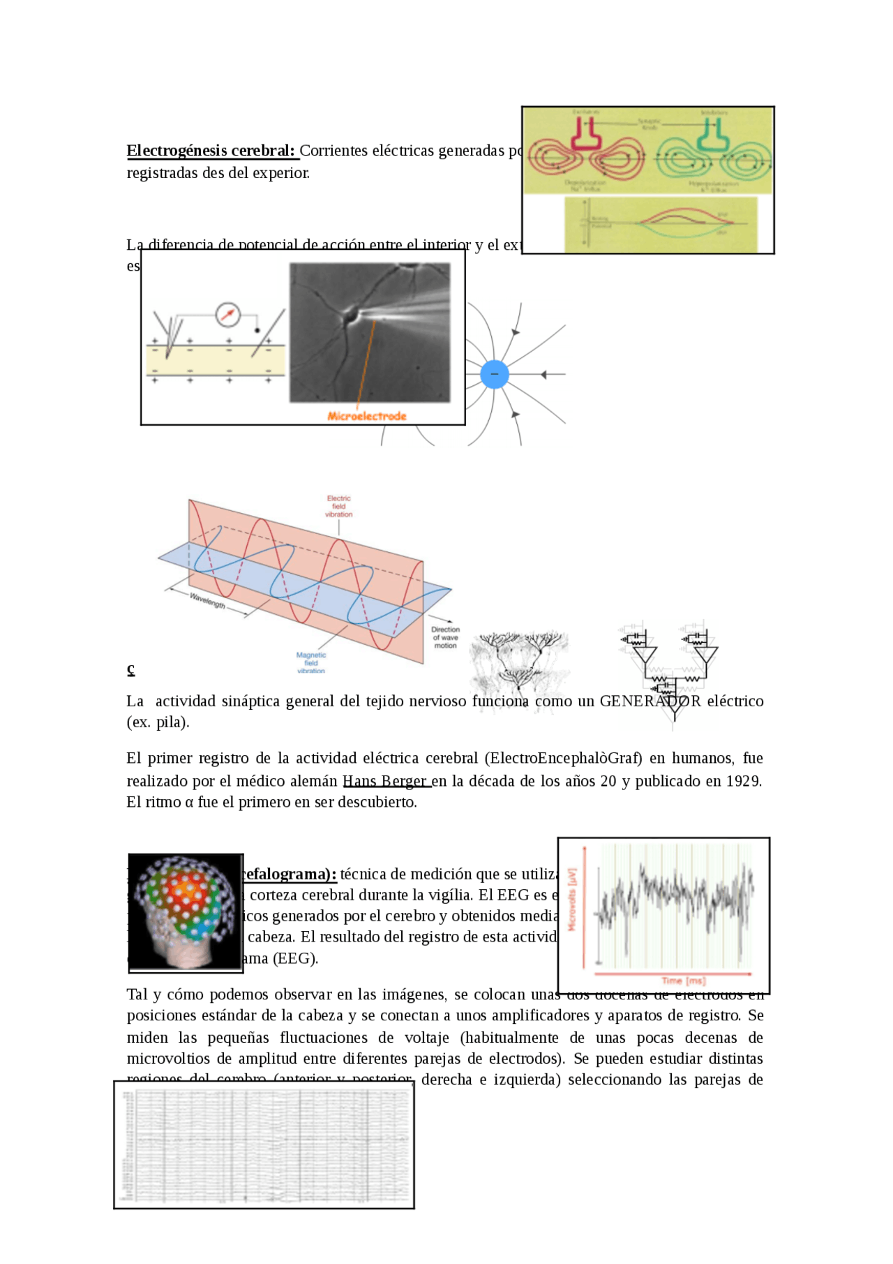 Electrogénesis cerebral Corrientes eléctricas generadas p - Apuntes de ...