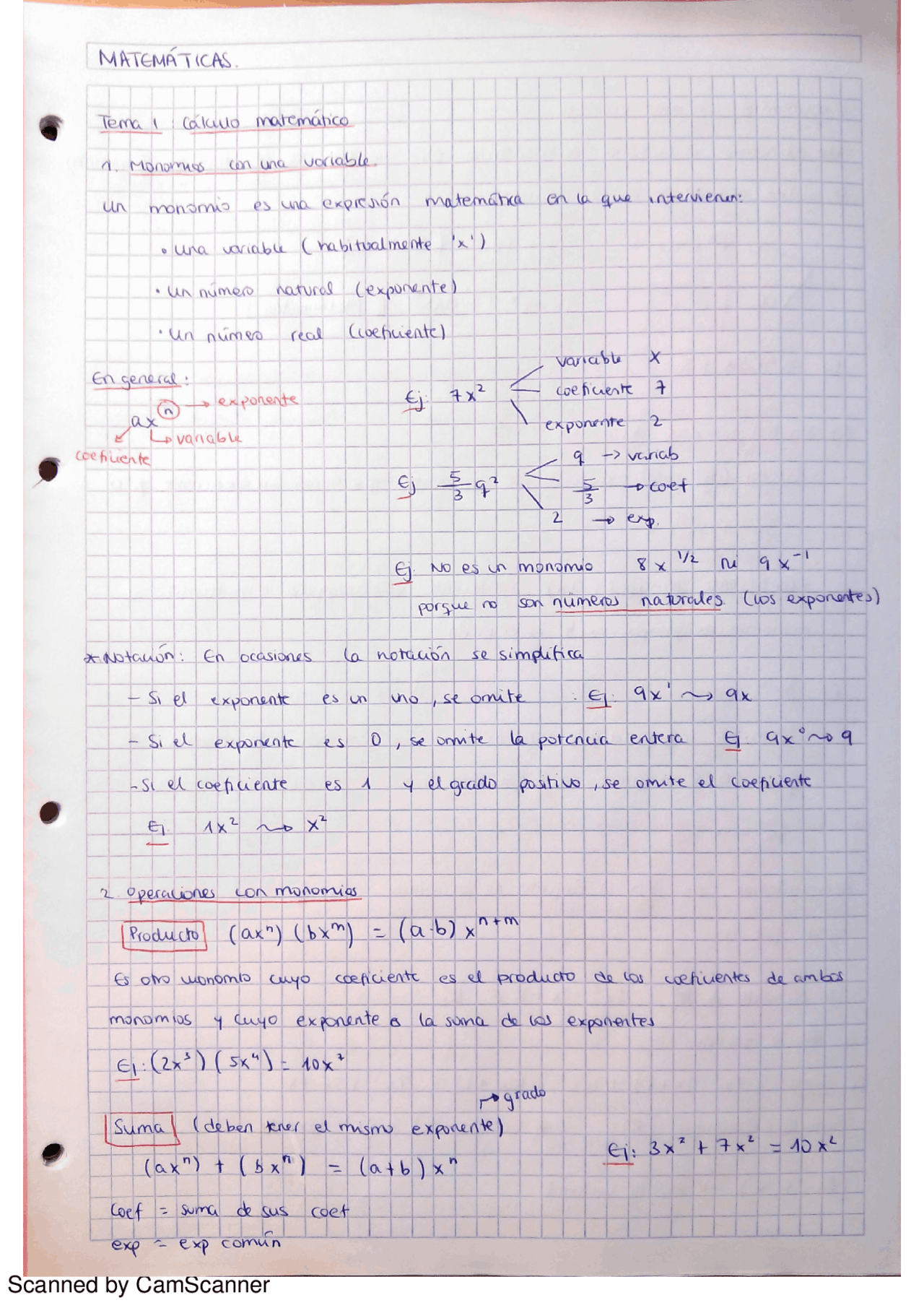 Apuntes tema 1 matematicas - Apuntes de Matemáticas - Docsity