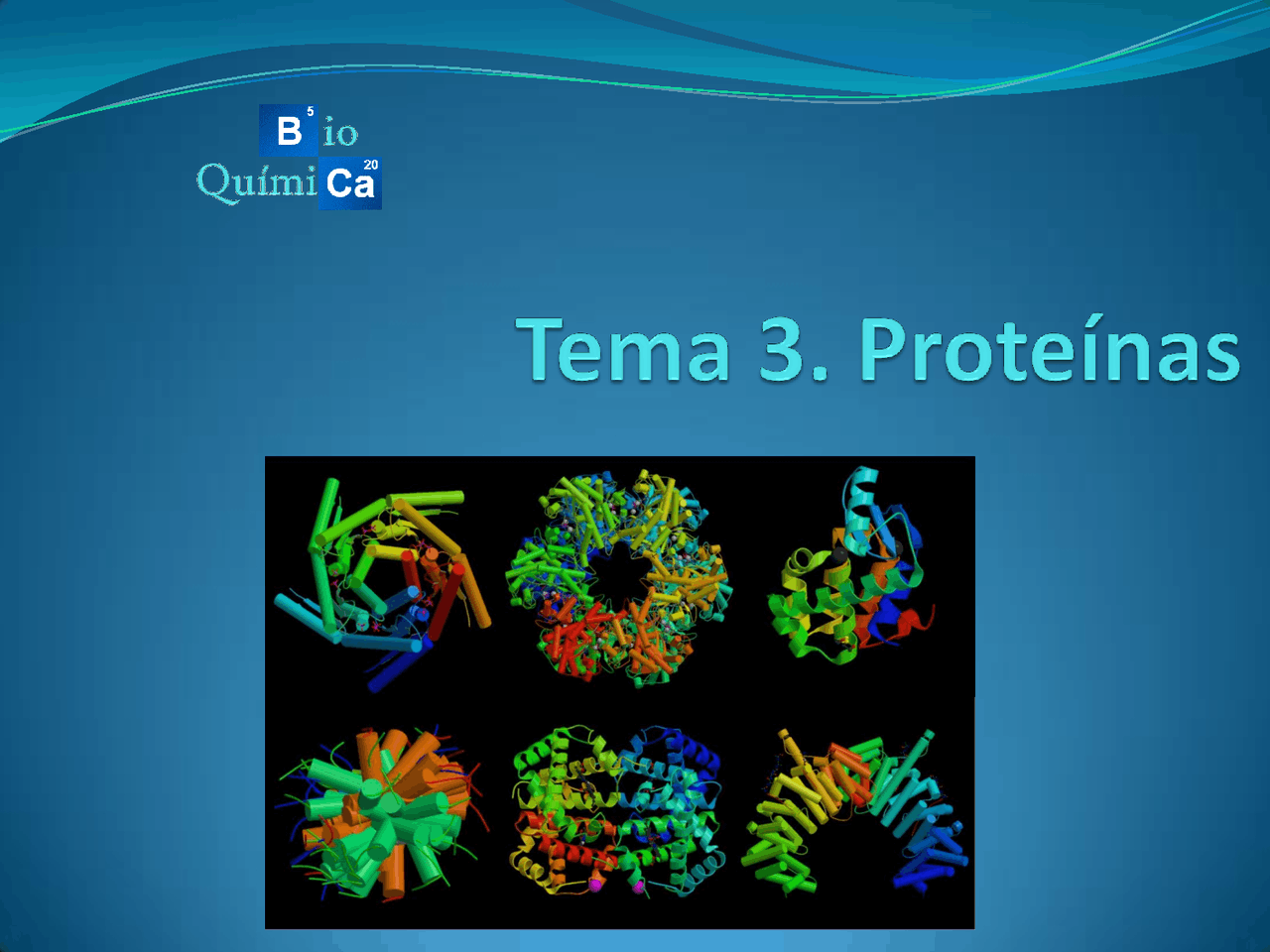 Aminoácidos Todos los aminoácidos están formados por un c - Apuntes de ...