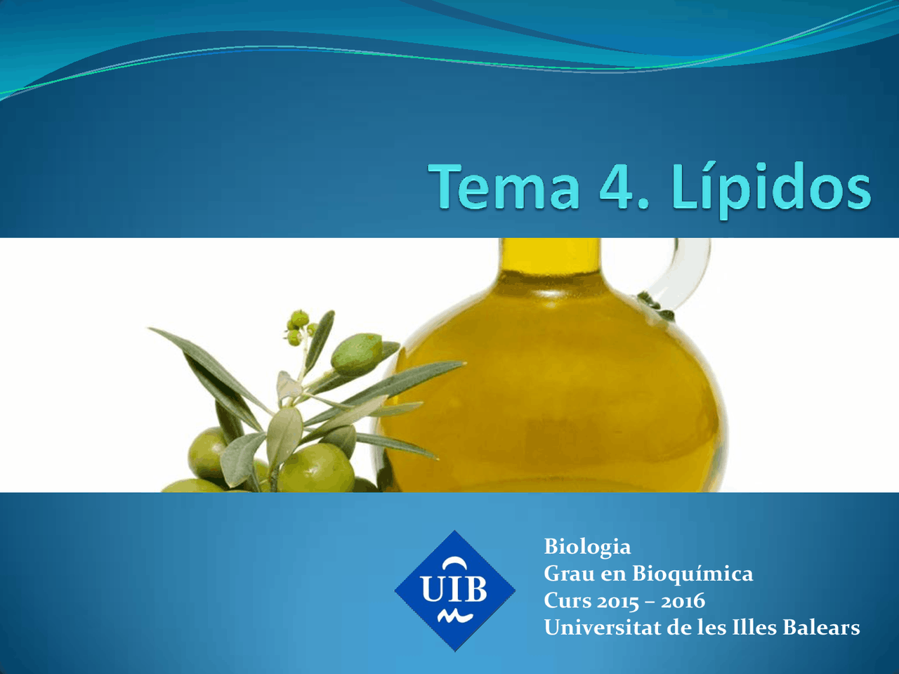 Ácidos grasos Formados por un grupo carboxilo (ácido) unido a una ...