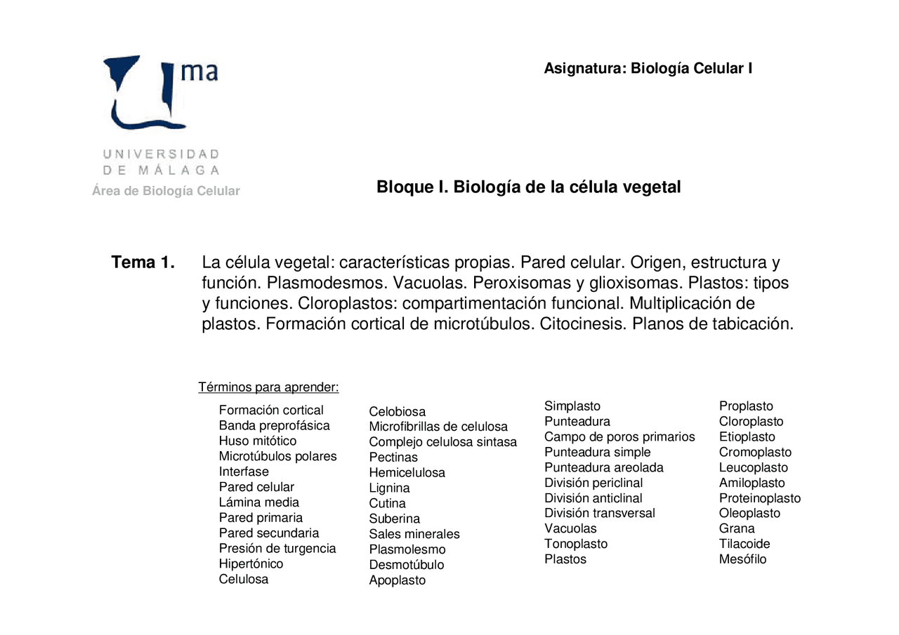La célula vegetal - Apuntes de Biología Celular - Docsity