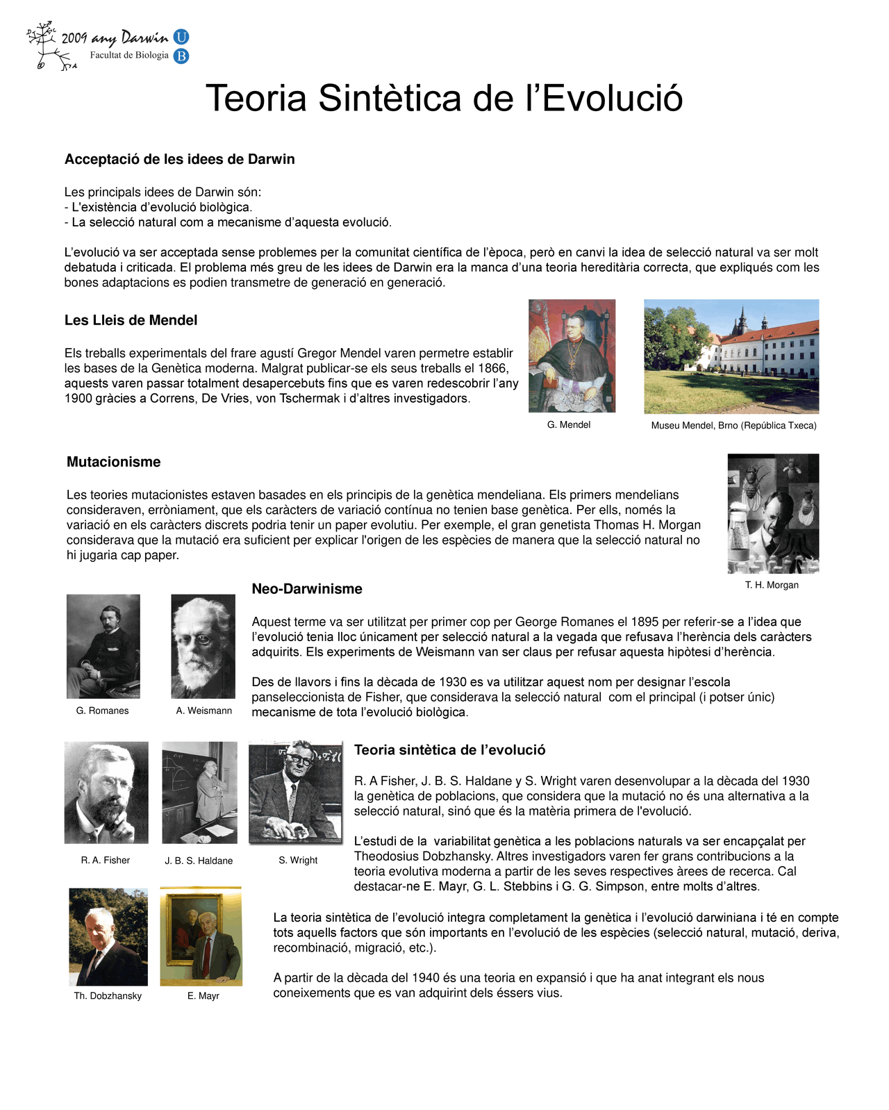 Neodarwinisme - Apuntes de Biología - Docsity