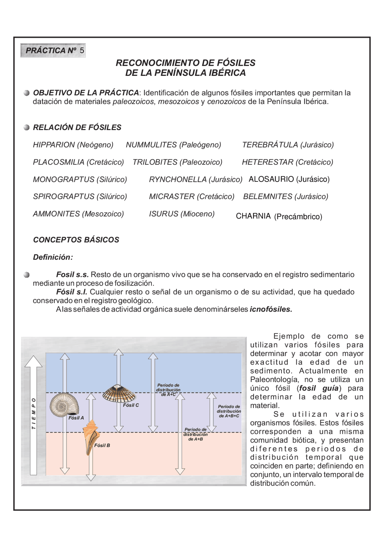 Practica de fósiles - Ejercicios de Geología | Docsity