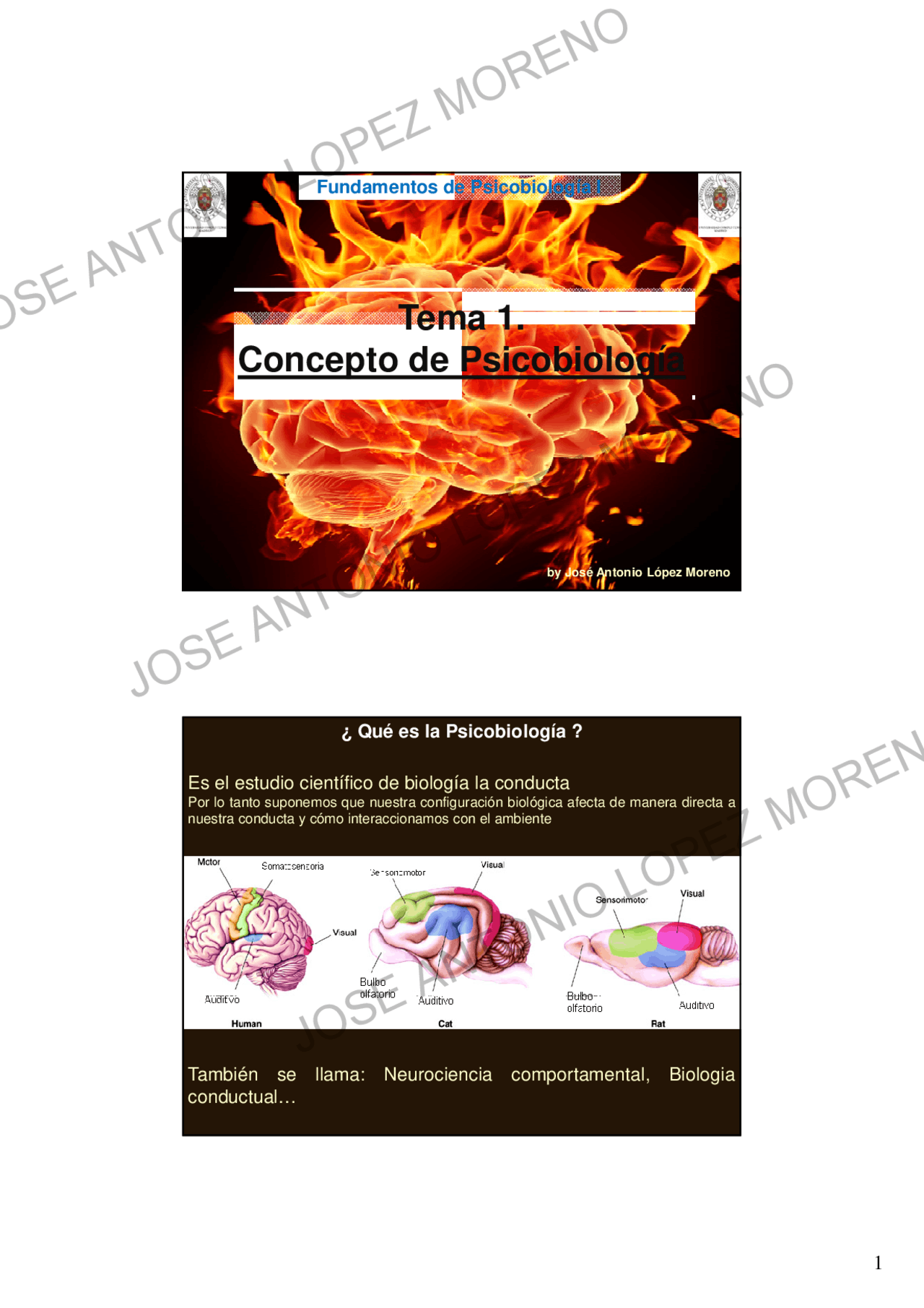 Psicobiología: Introducción a la Neurociencia del Comportamiento - Prof ...