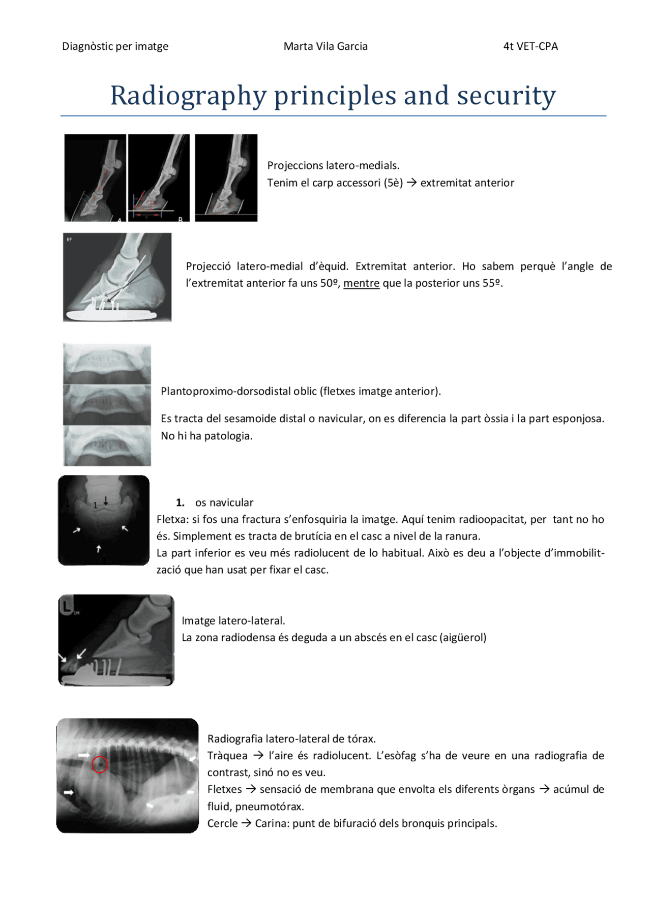 Radiography principles and security - Apuntes de Veterinaria - Docsity