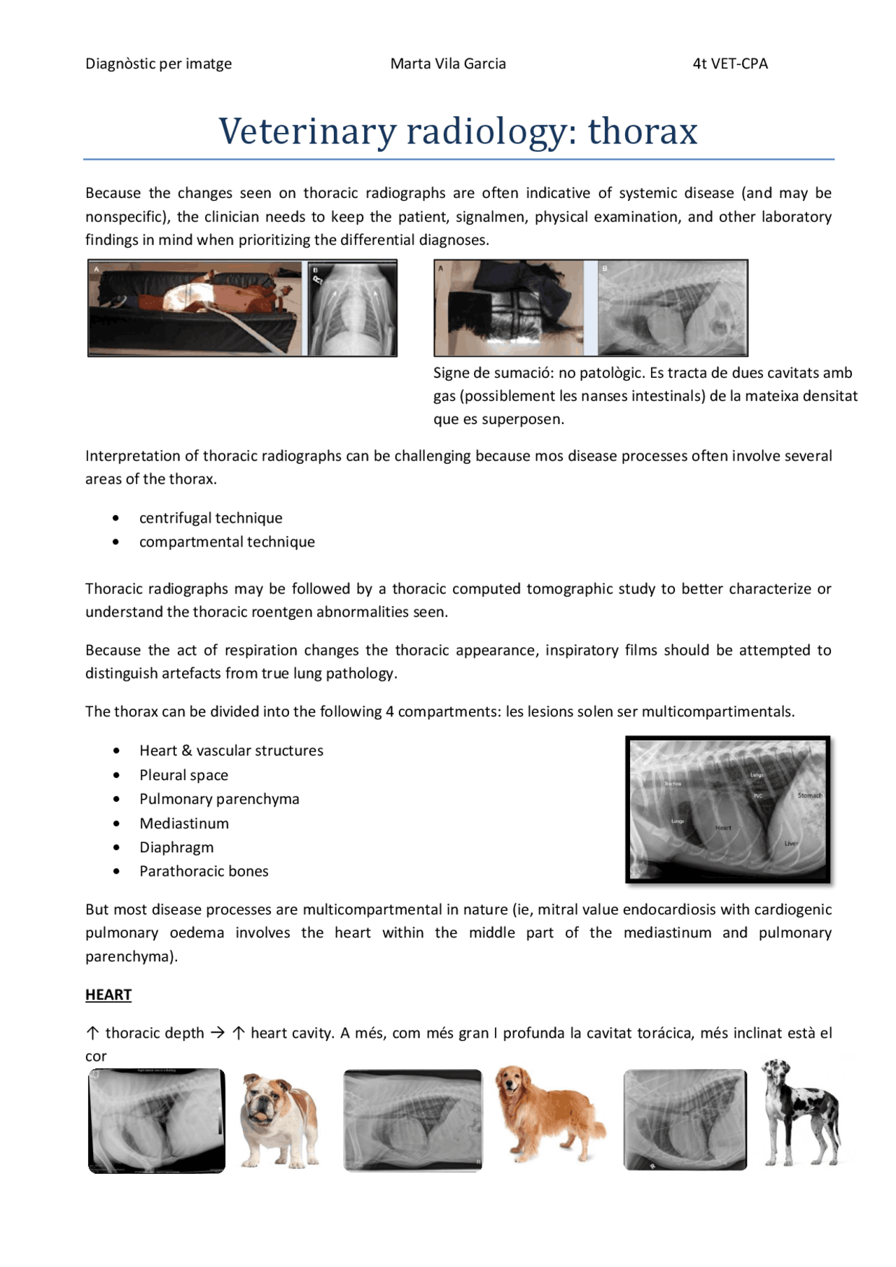 Veterinary radiology: thorax - Apuntes de Veterinaria - Docsity