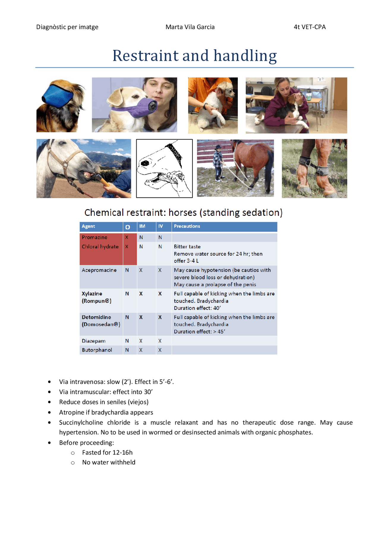 Restraint and handling - Apuntes de Veterinaria - Docsity