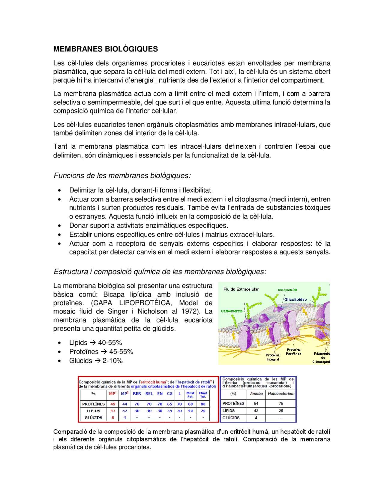 MEMBRANES BIOLÒGIQUES Les cèllules dels organismes procariotes ...