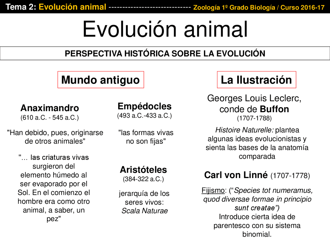 Evolución animal - Apuntes de Zoología - Docsity