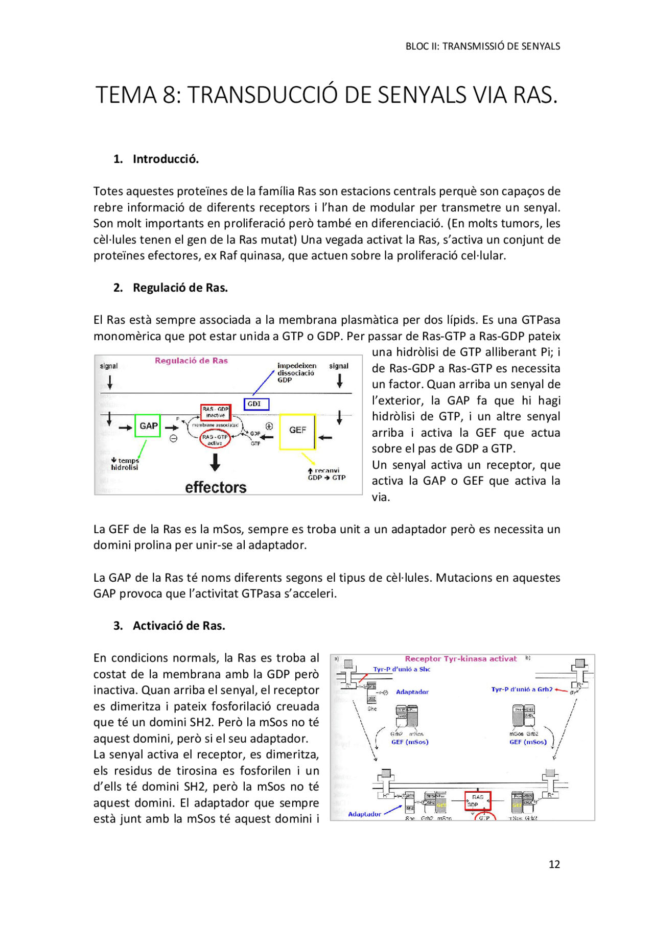 Bloc II- T8: Transducció de senyals via RAS - Apuntes de Biología ...