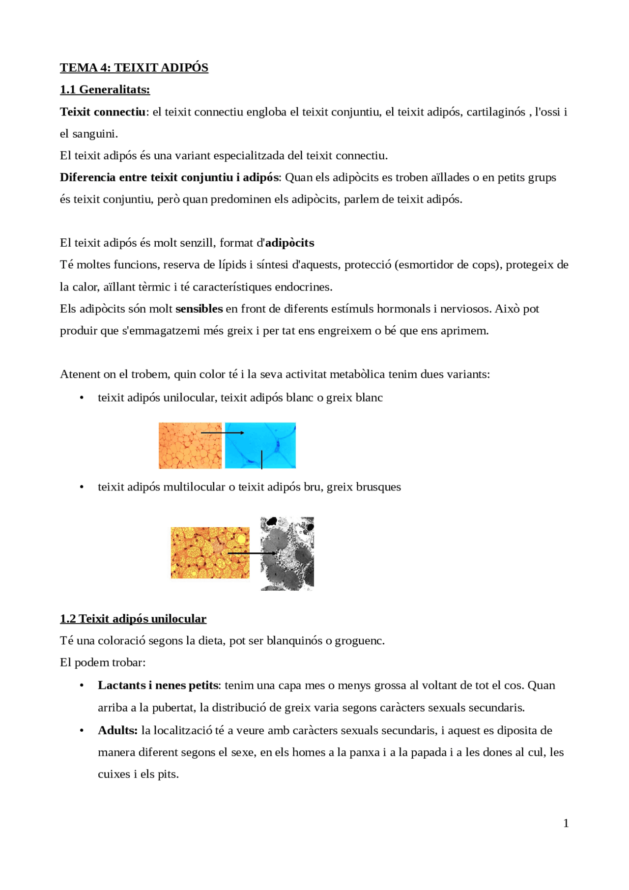 TEMA 4: TEIXIT ADIPÓS1.1 Generalitats:Teixit connectiu - Apuntes de ...