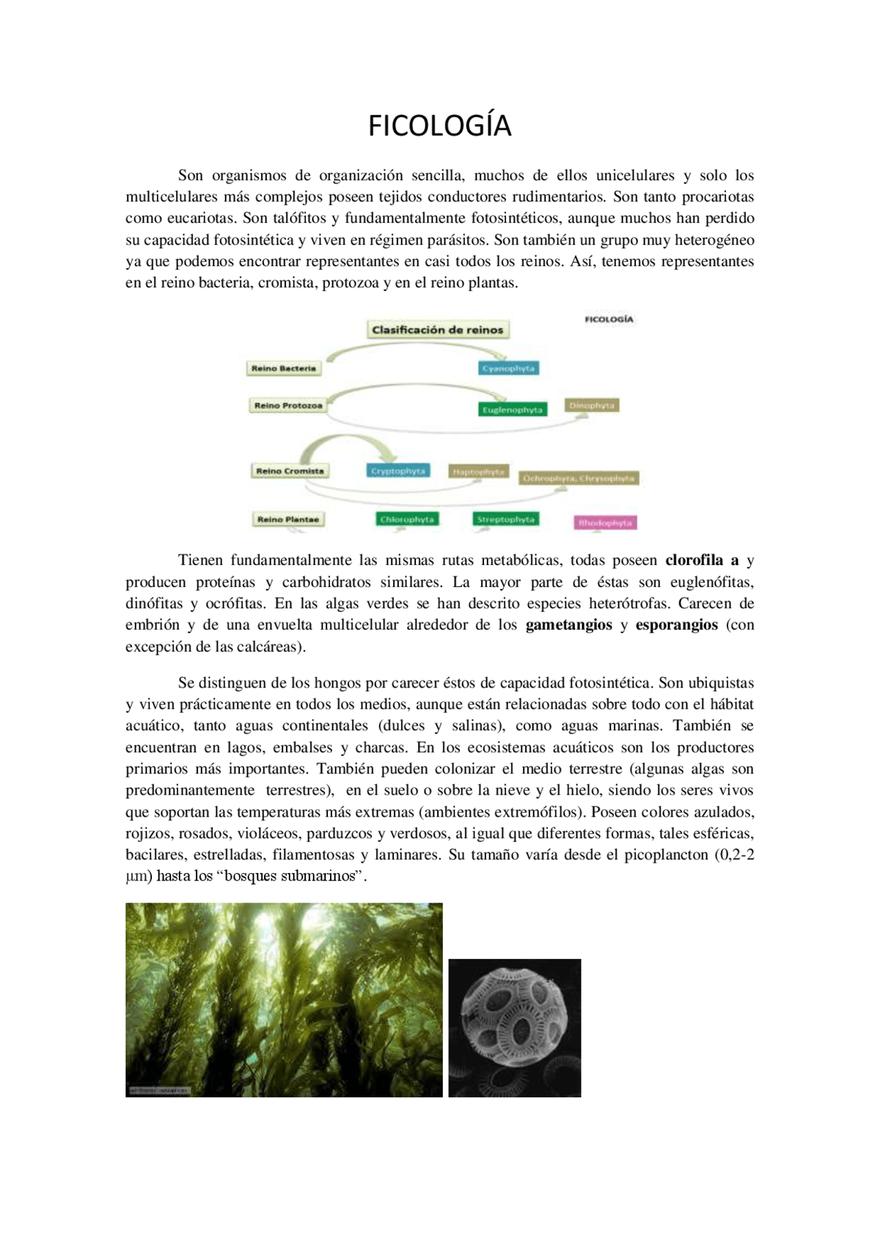 ficologia - Apuntes de Botánica y Agronomía | Docsity