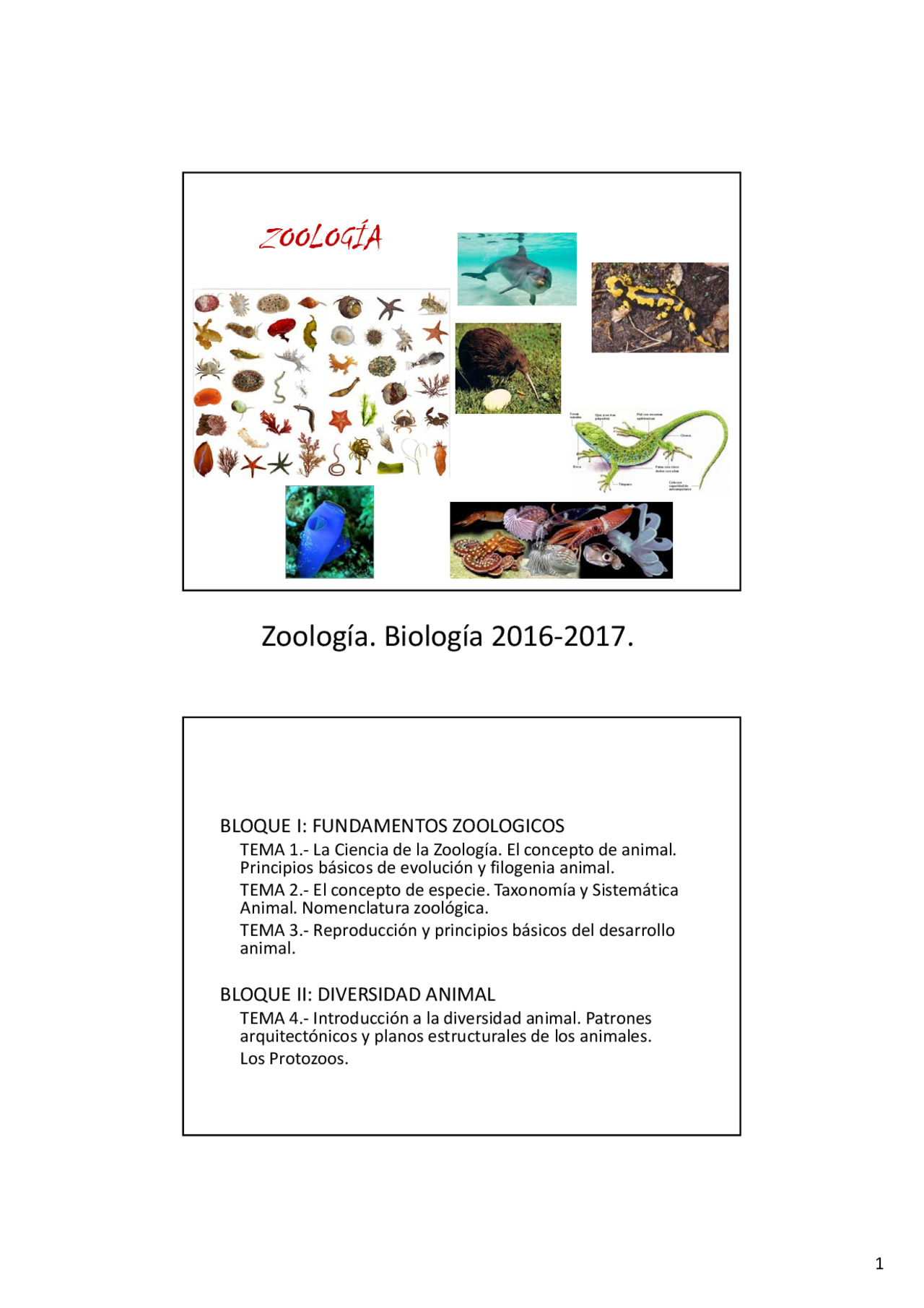 Apuntes zoologia - Apuntes de Zoología | Docsity