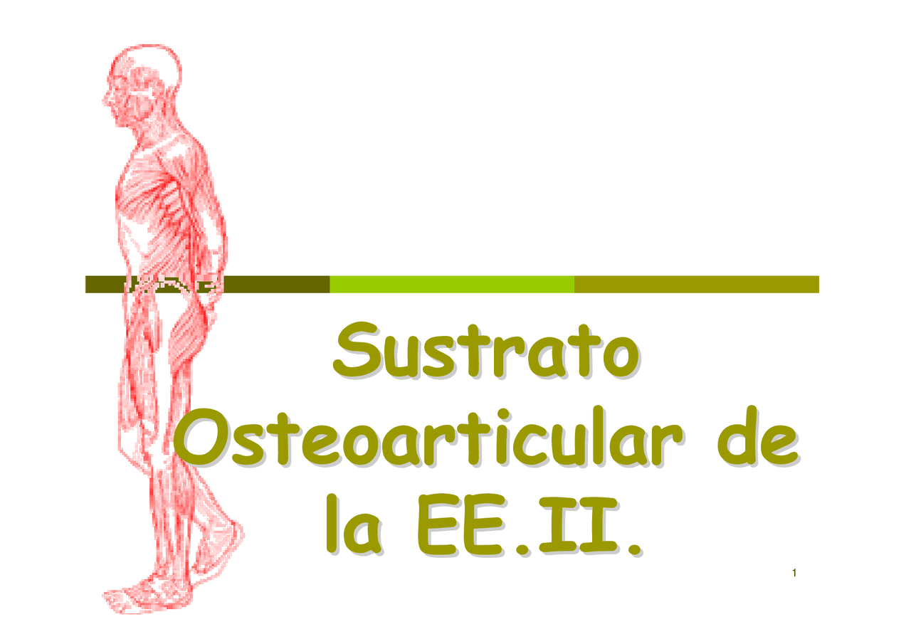 El sustrato Osteoarticular de la EE.II. - Ejercicios de Anatomía - Docsity