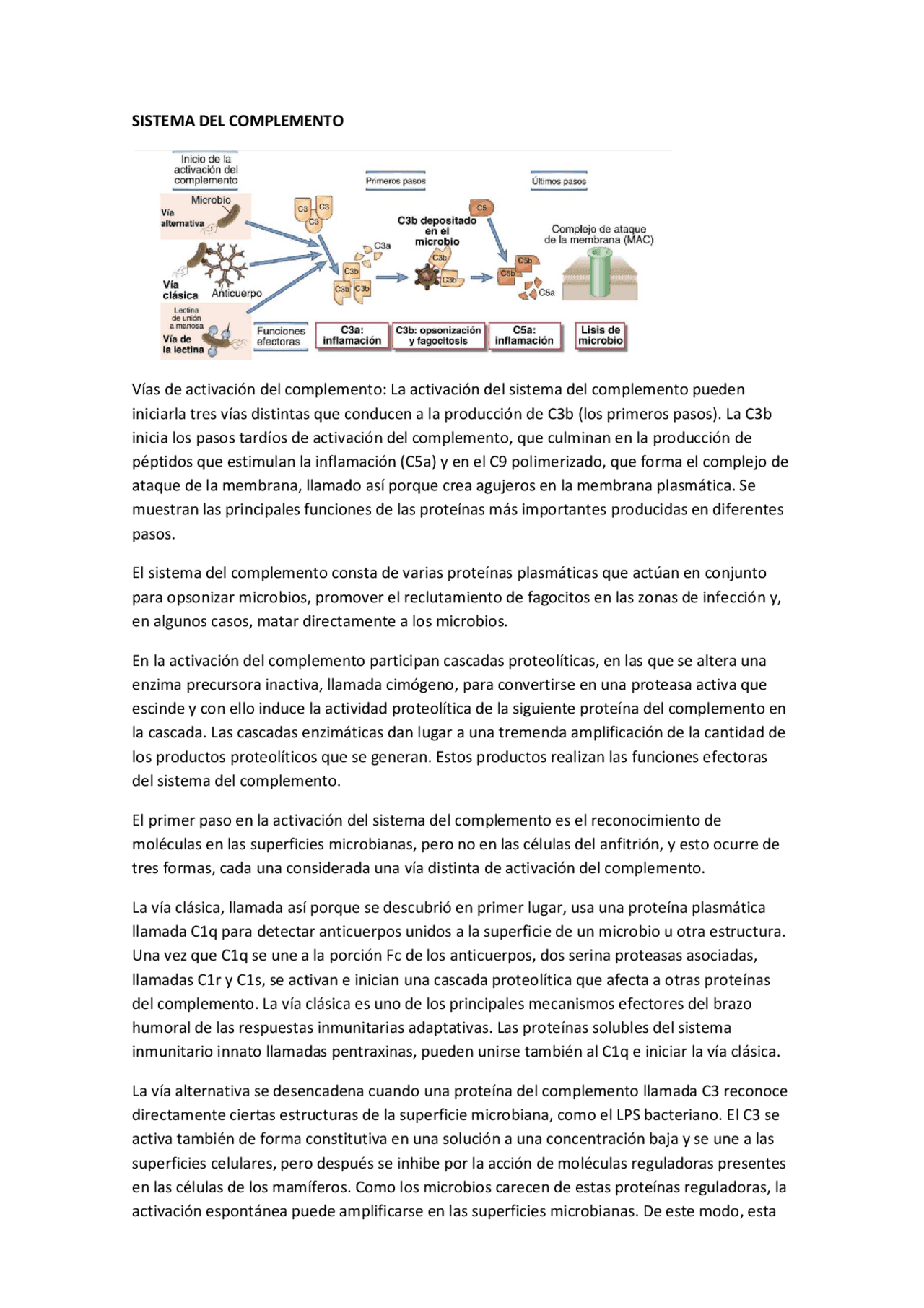 Sistema del Complemento - Ejercicios de Inmunología - Docsity